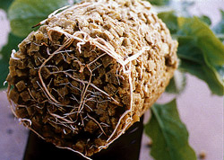 GRODAN - GRO-WOOL GRANULATO LANA DI ROCCIA | 20Kg, INDOORLINE - Indoor ...